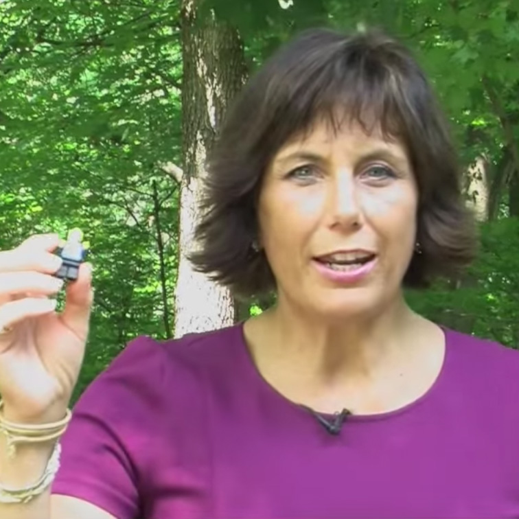Resources / Videos | Jane Schuette